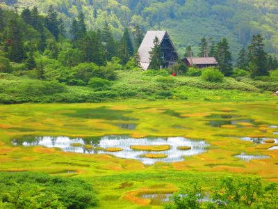 The Ozegahara Marshland - Japan Tours Experts - RediscoverTours